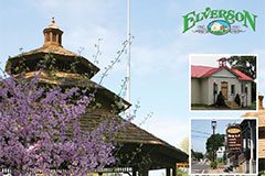 Municipal Project Examples